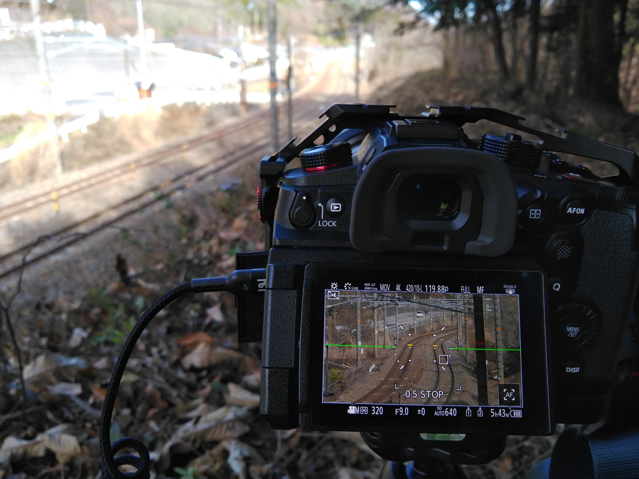 STUDIO_TARAS on Twitter: "待ち伏せ開始‼️ https://t.co/xbdBYndC7d" / Twitter