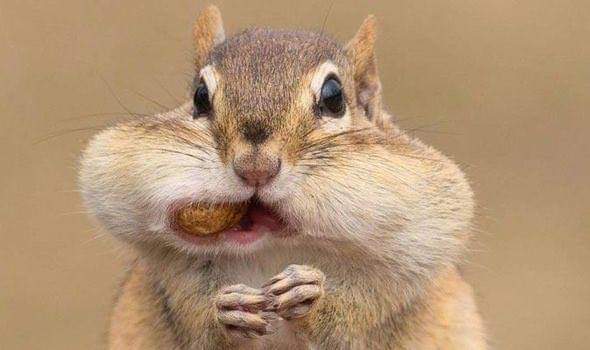 Salty Tater On Twitter When Someone Puts A Cheese Platter In Front Of Me salty-tater-on-twitter-when-someone-puts-a-cheese-platter-in-front-of-me