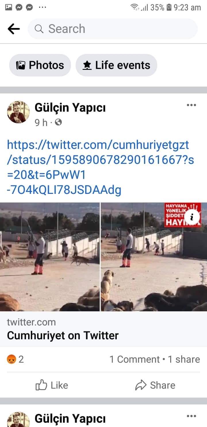 dominic dyer on Twitter: dominic dyer on Twitter: