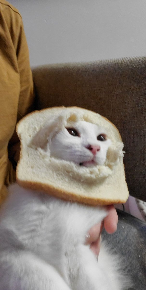 NATA on Twitter: NATA on Twitter: