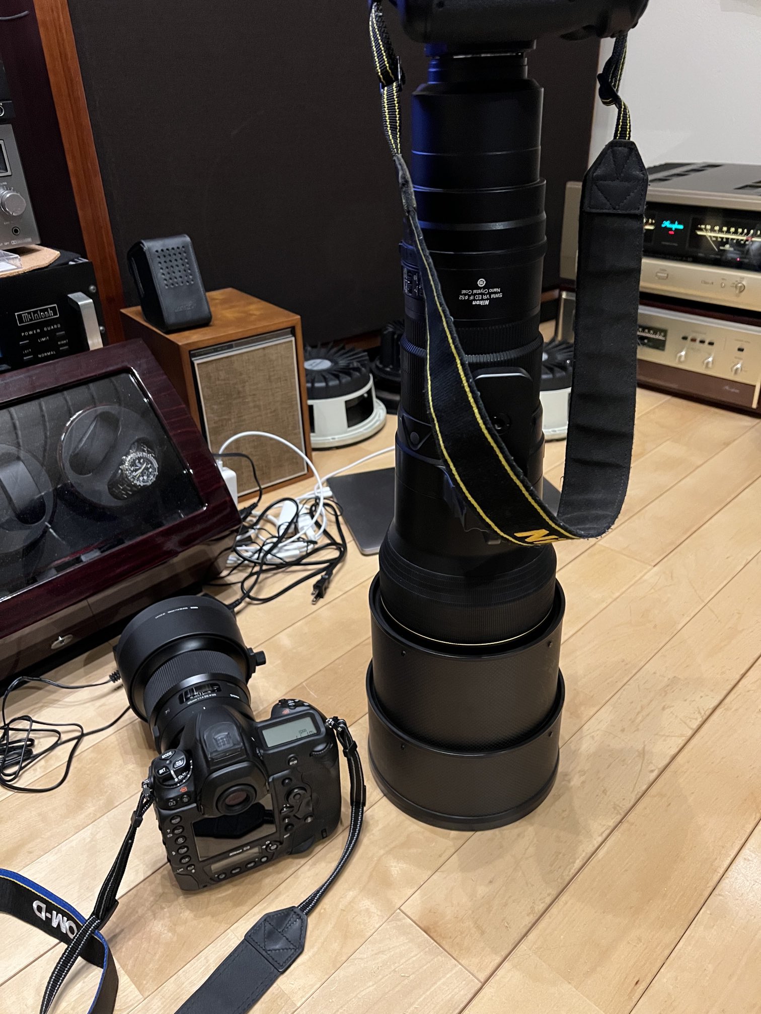 M Kondo on Twitter: "レンズが生えた様に見えますね。 https://t.co/ShqRYnJsy2" / Twitter