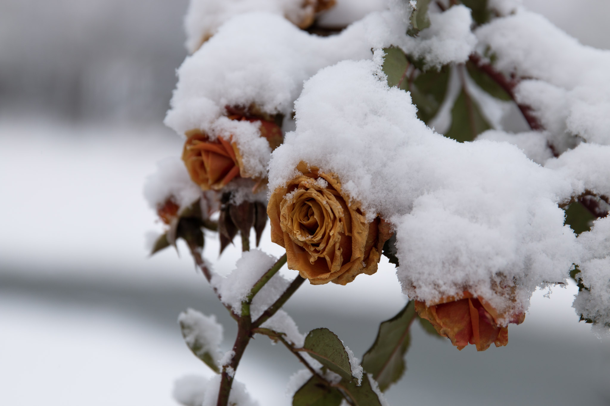 Andrey Viktorov (@aviktorov) / Twitter