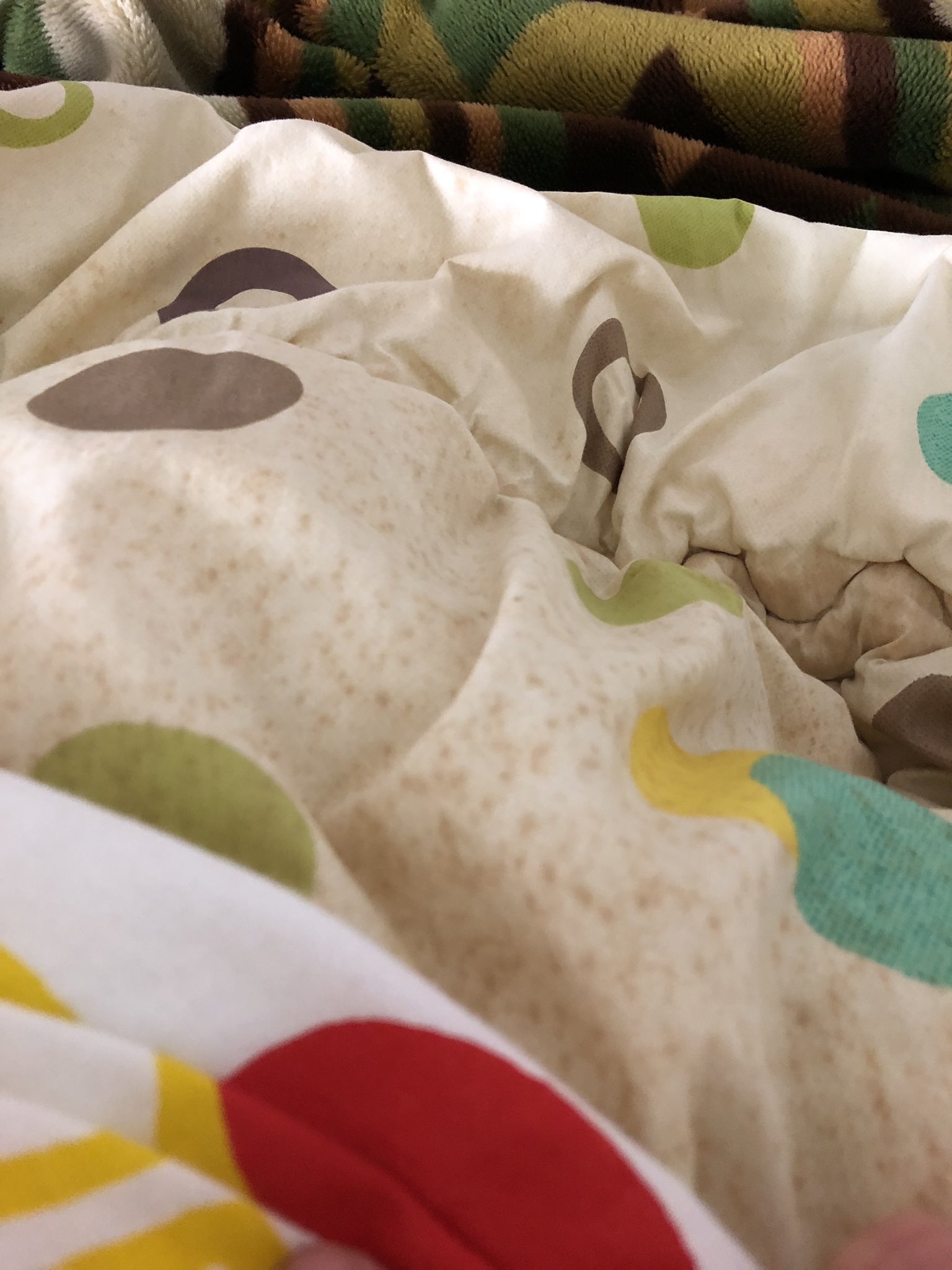 Ramune-pc@次のミライへ on Twitter: "ふと、掛け布団のカバーめくったらこれだったんだけど これカビよな？表面の生地が黒くなってるし https://t.co ...