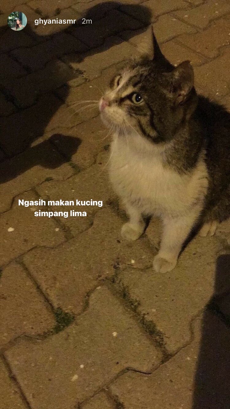 ela on Twitter: "186. https://t.co/XF7moXEBaD" / Twitter