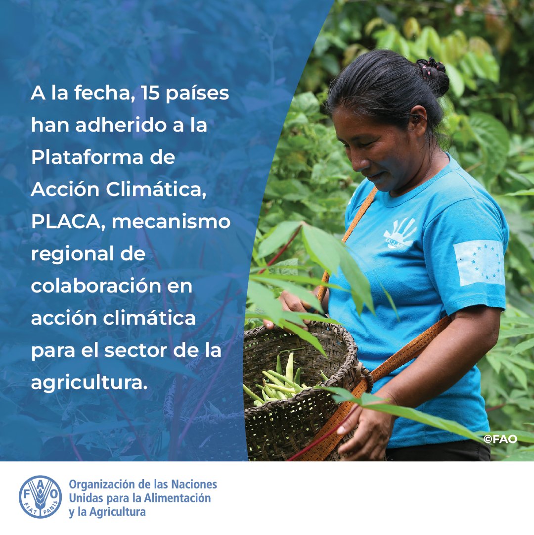 FAO Mesoamérica on Twitter: FAO Mesoamérica on Twitter: