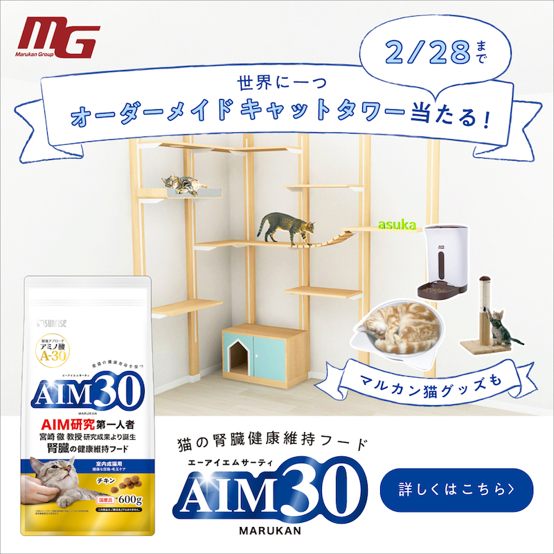 【アナル破壊】壊れた肛門になりたい【括約不全】 2 - BBSPINK