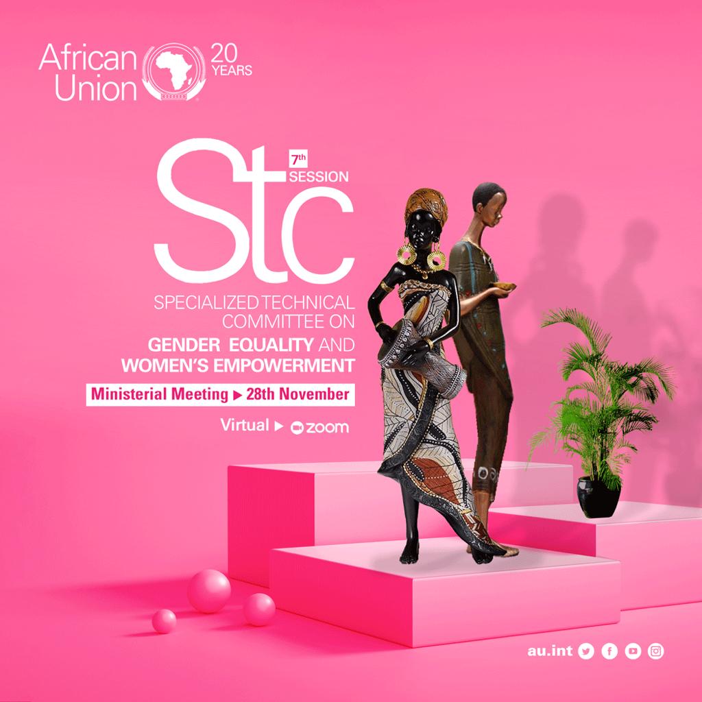 African Union Women, Gender & Youth Directorate on Twitter: "The 7th STC on GEWE is under way ...