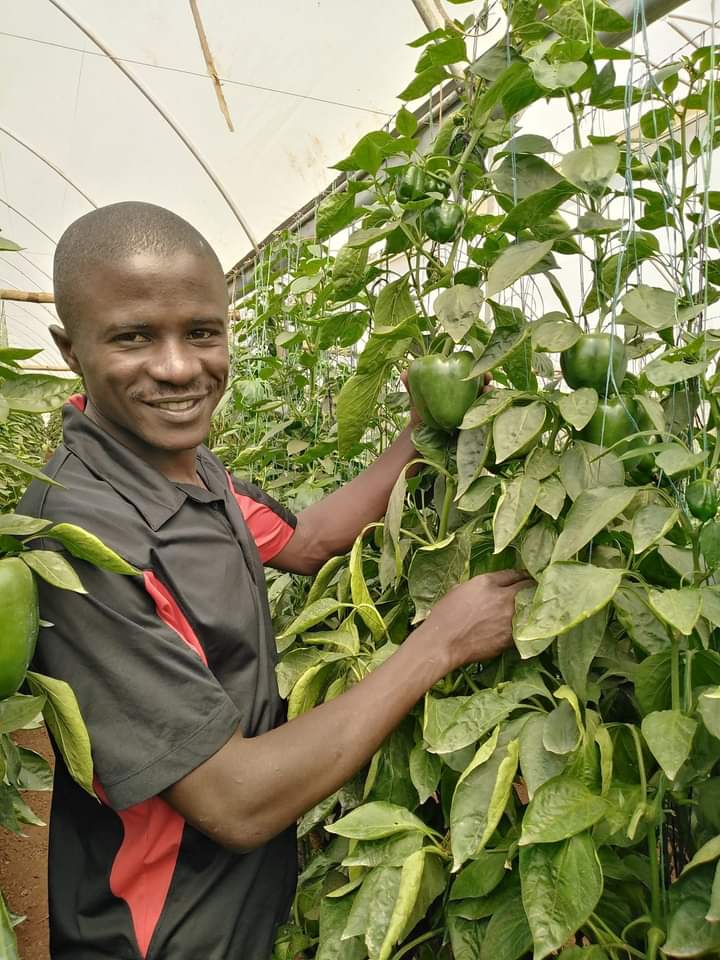 Key things you need to get right in farming or go home. Thread ...