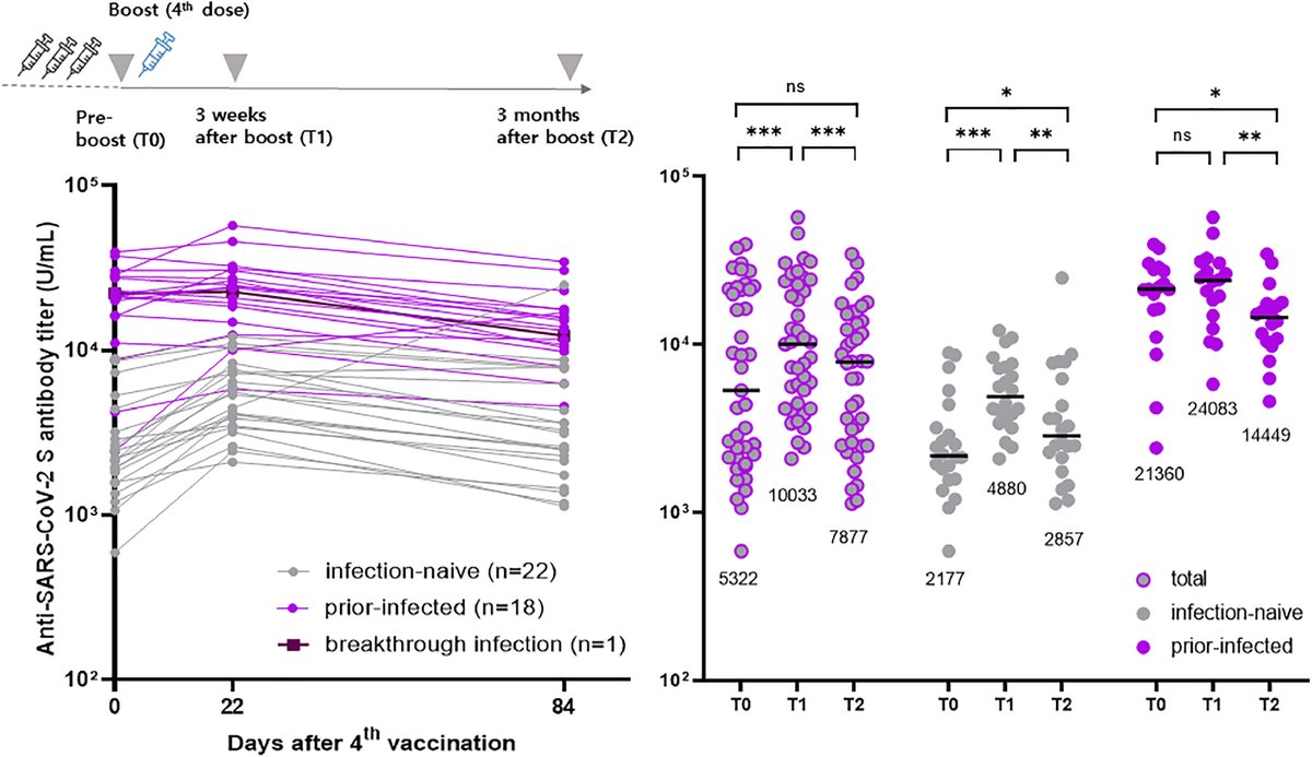 COVID-19: How good is a Novavax booster and with previous mRNA doses ...
