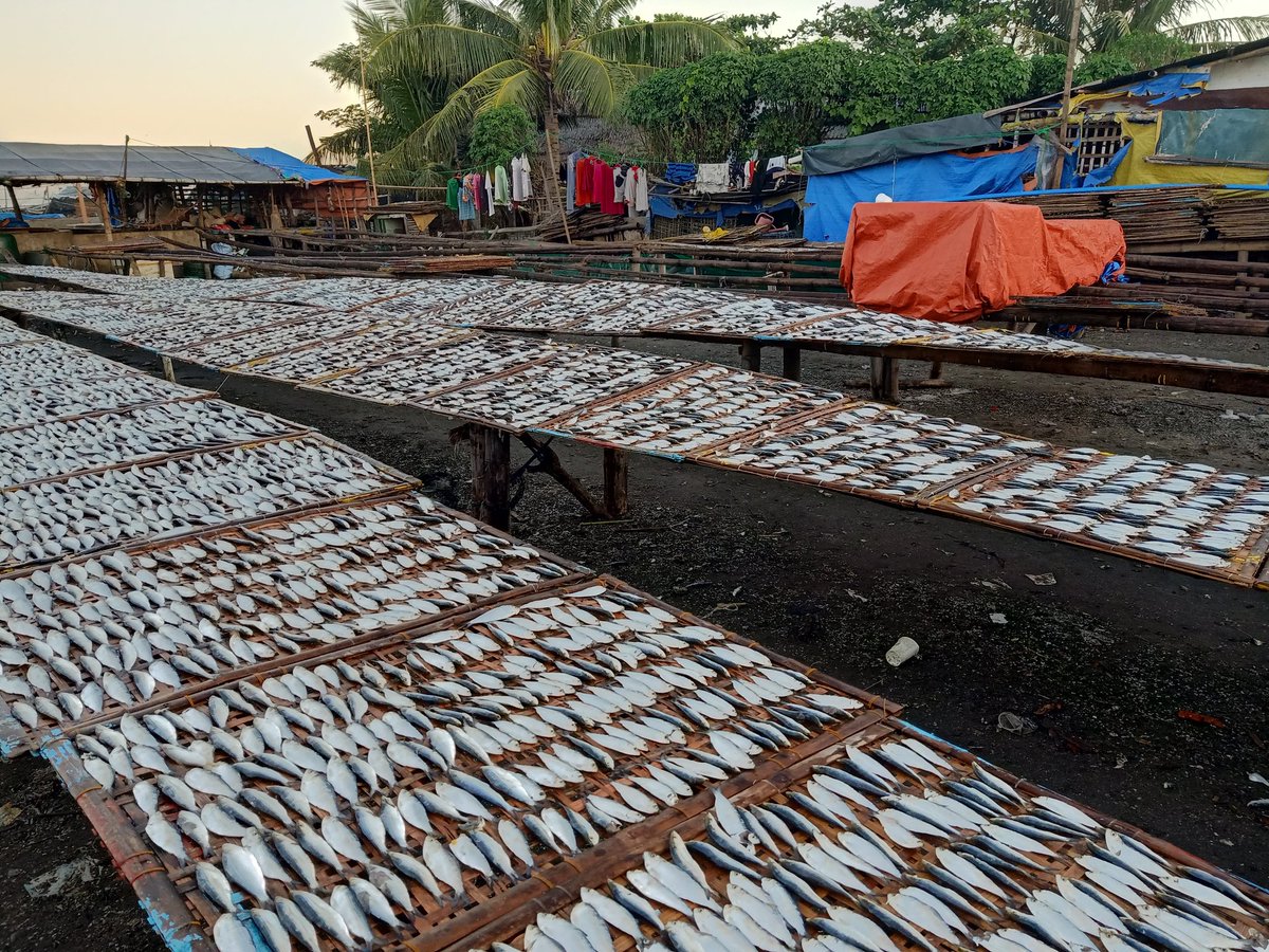 Jon Bonifacio's Threads – Thread Reader App