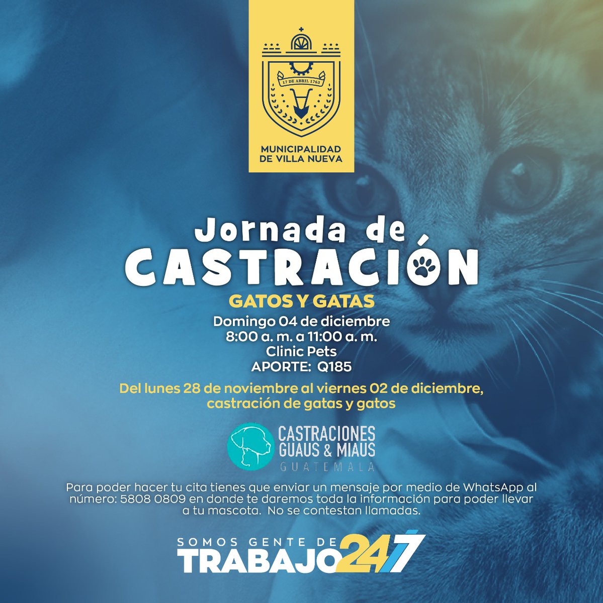 MuniVillaNueva on Twitter: "Este domingo 4 de diciembre tendremos una jornada de castración para ...