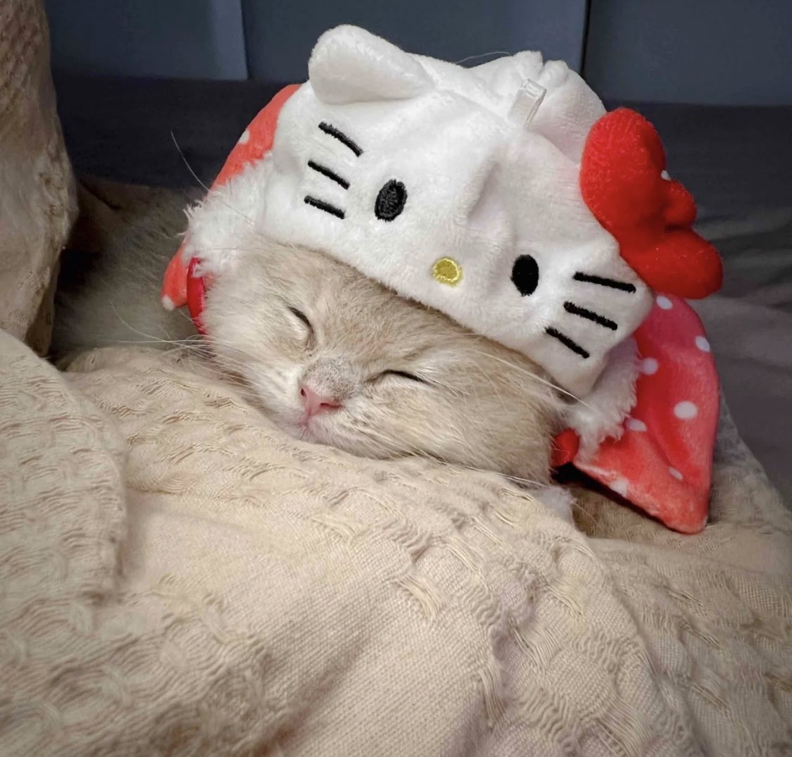 Hello Kitty Wearing Hat Hello Kitty Wearing Hat