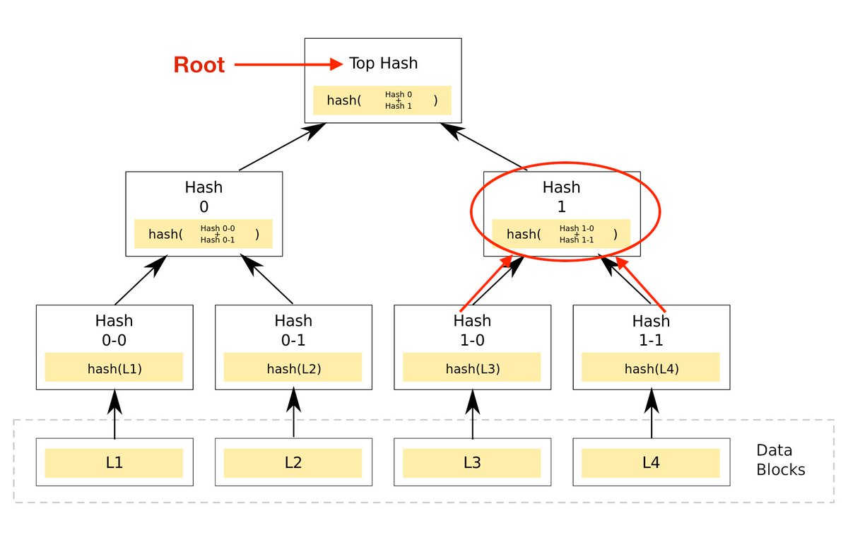 Can Merkle Trees prove that your #Bitcoin is safe on an exchange? Are ...