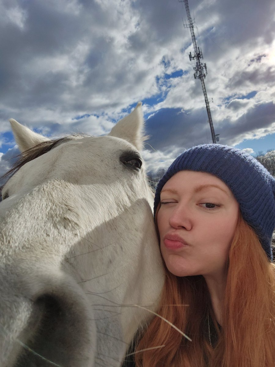 Lucahjin 🐴Mom on Twitter: Lucahjin 🐴Mom on Twitter:
