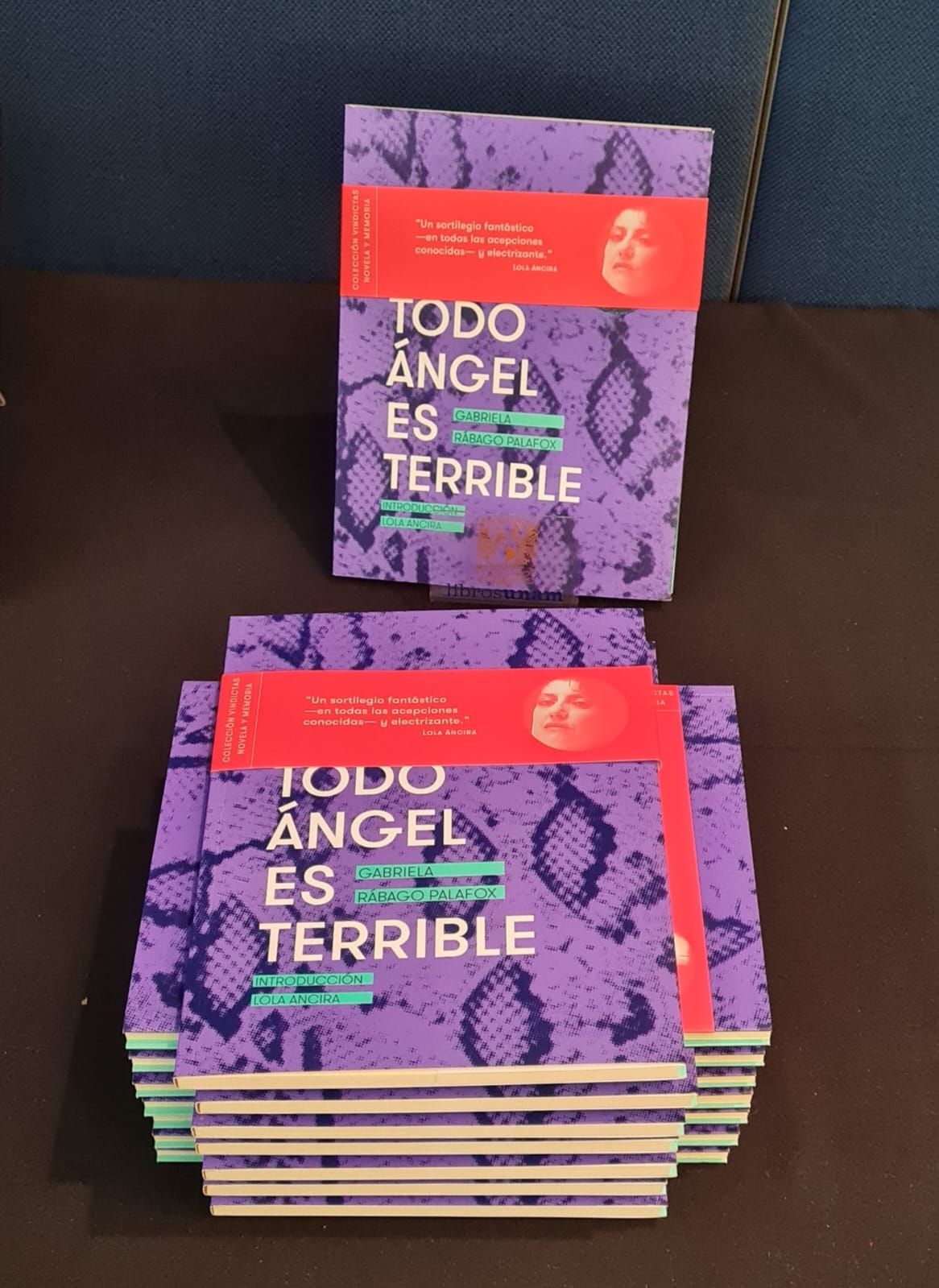 Libros UNAM on Twitter: "Socorro Venegas nos platica que estos dos títulos son obras clave para ...