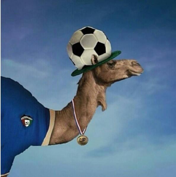 No words could possibly describe the utter magnificence that is the ...