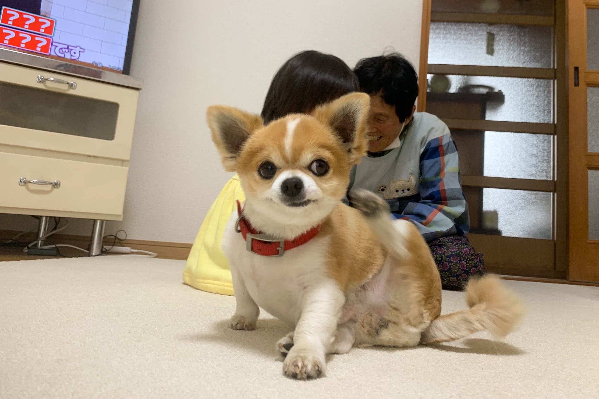 (32) on Twitter: "https://t.co/00Rxp1zStU" / Twitter