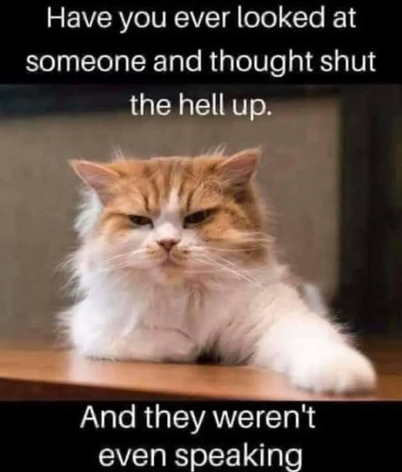 Funny Memes On Twitter Https T Co Kyfil6nrux Twitter