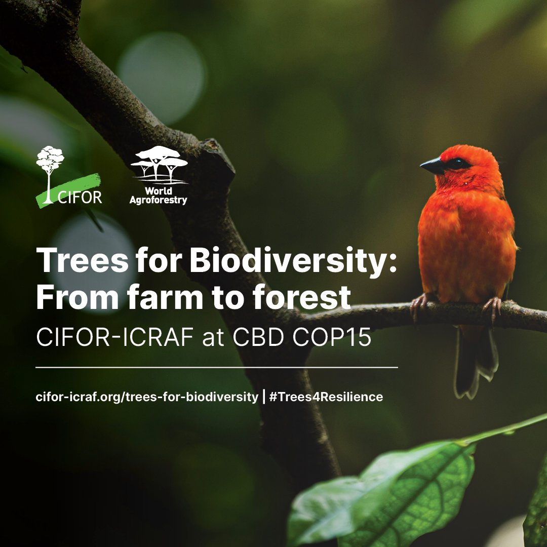 CBD COP15 (@CBD_COP15) / Twitter