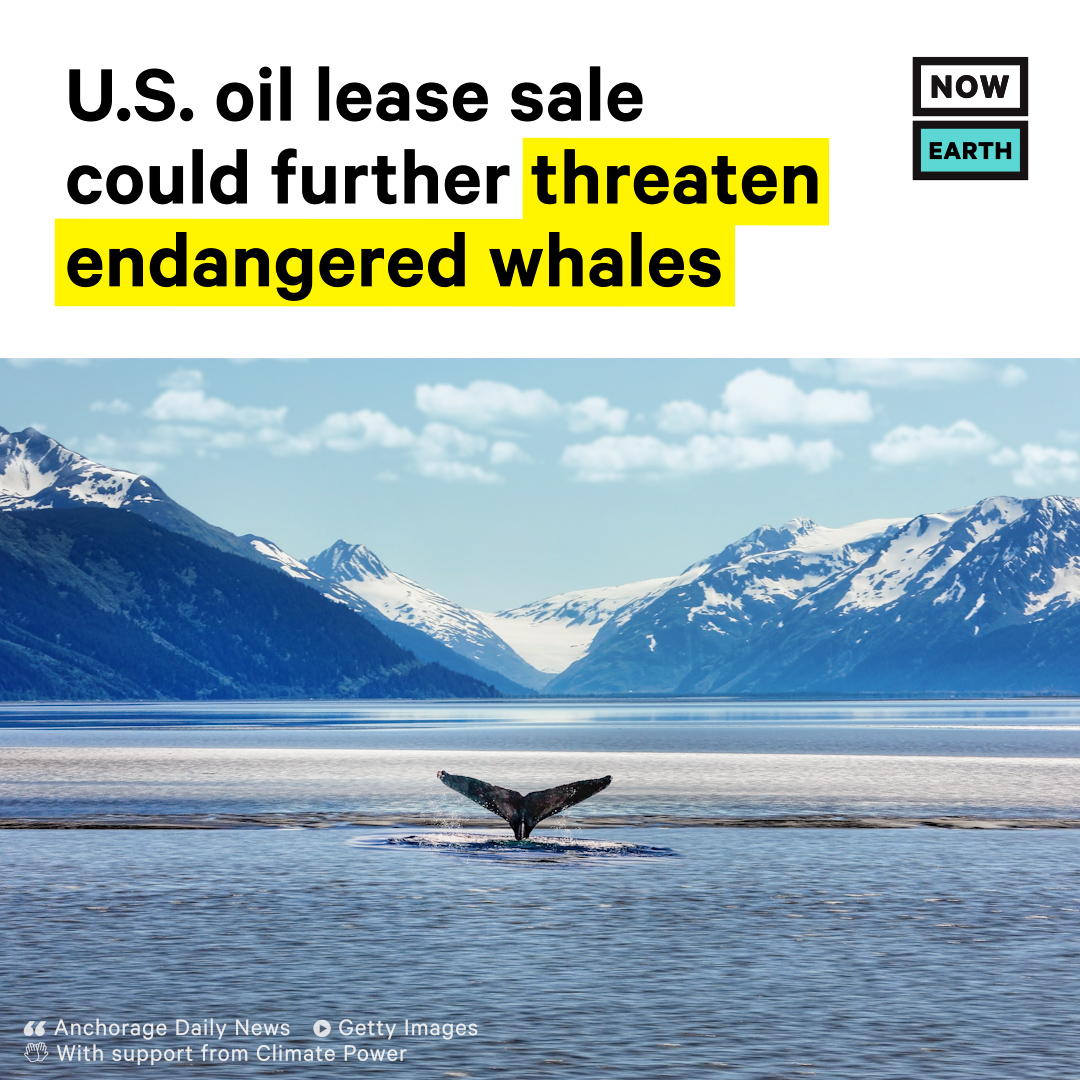 Nearly 1 million acres of the Cook Inlet, which is off the coast of ...