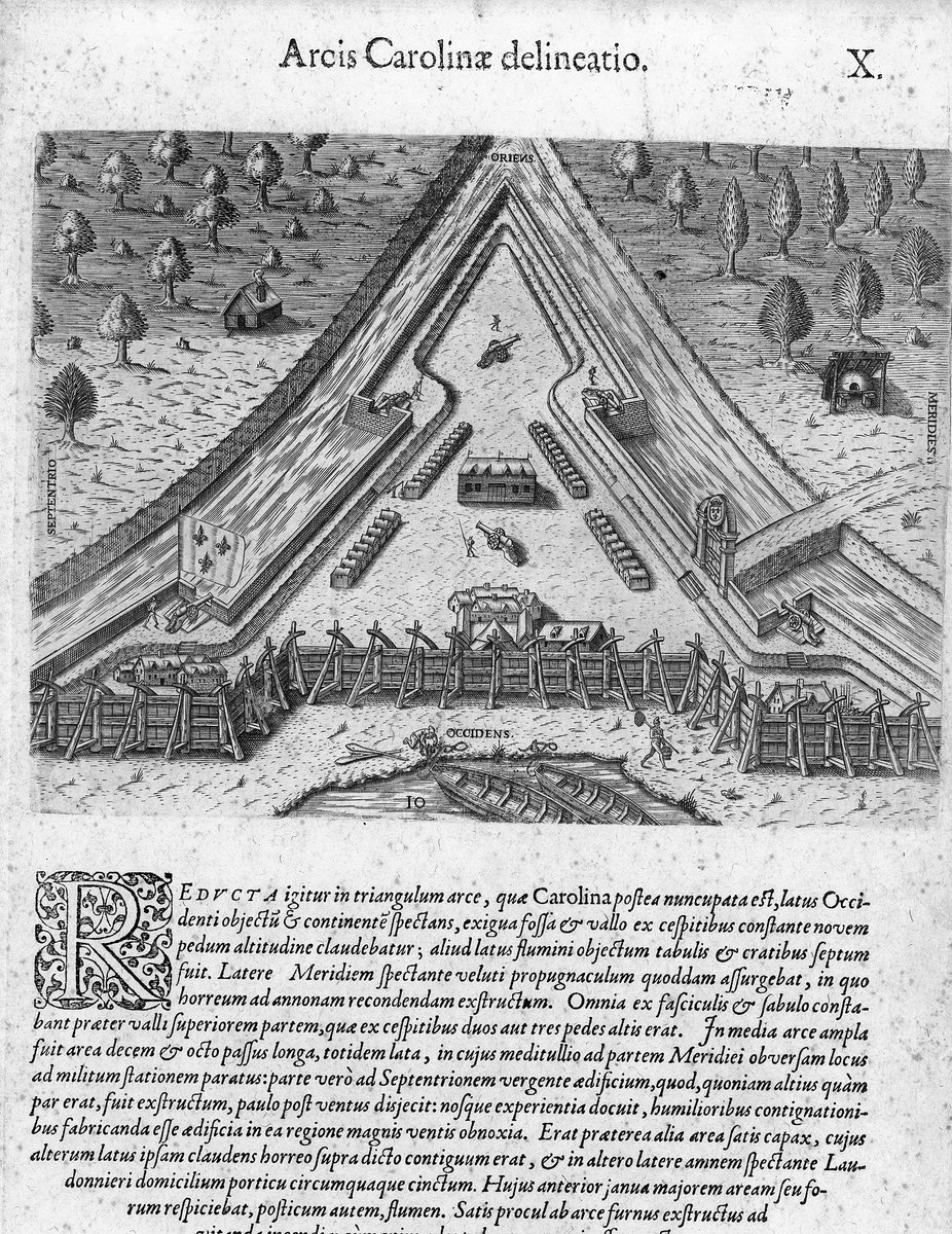 The underwater graveyard near La Palma! In 1570 French Huguenot pirates ...