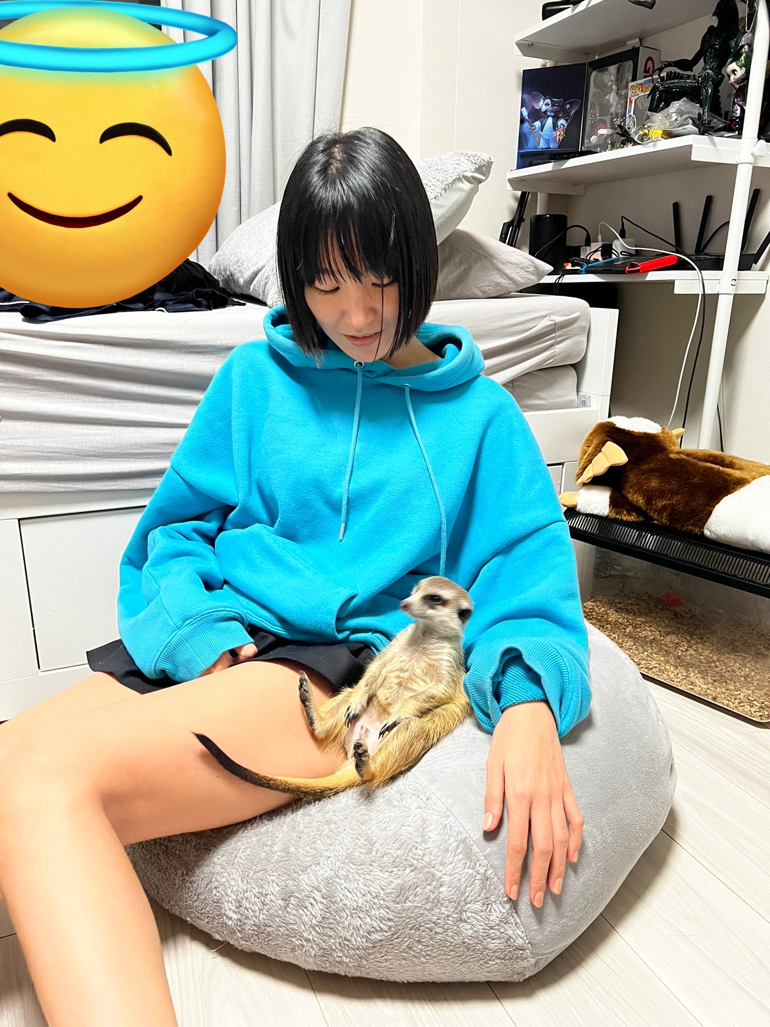 RaMu on Twitter: "びるちゃんの新しい彼氏 https://t.co/HIAZPAeBxG" / Twitter