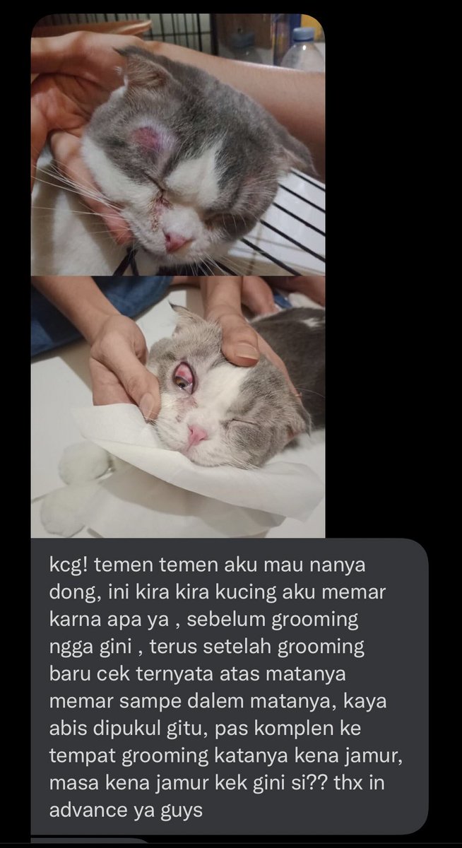 nomi on Twitter: nomi on Twitter: