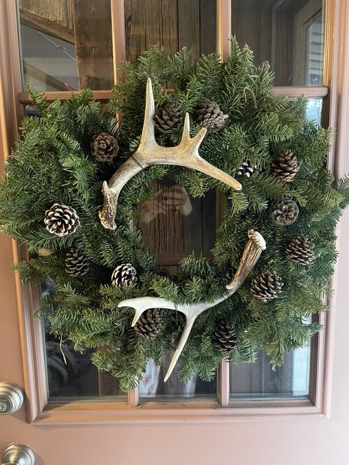 TW Pornstars - Juno Calliope. Pictures and videos from Twitter.