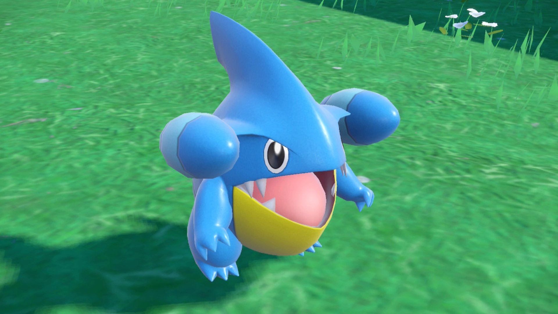 Beautifully Shiny Pokemon