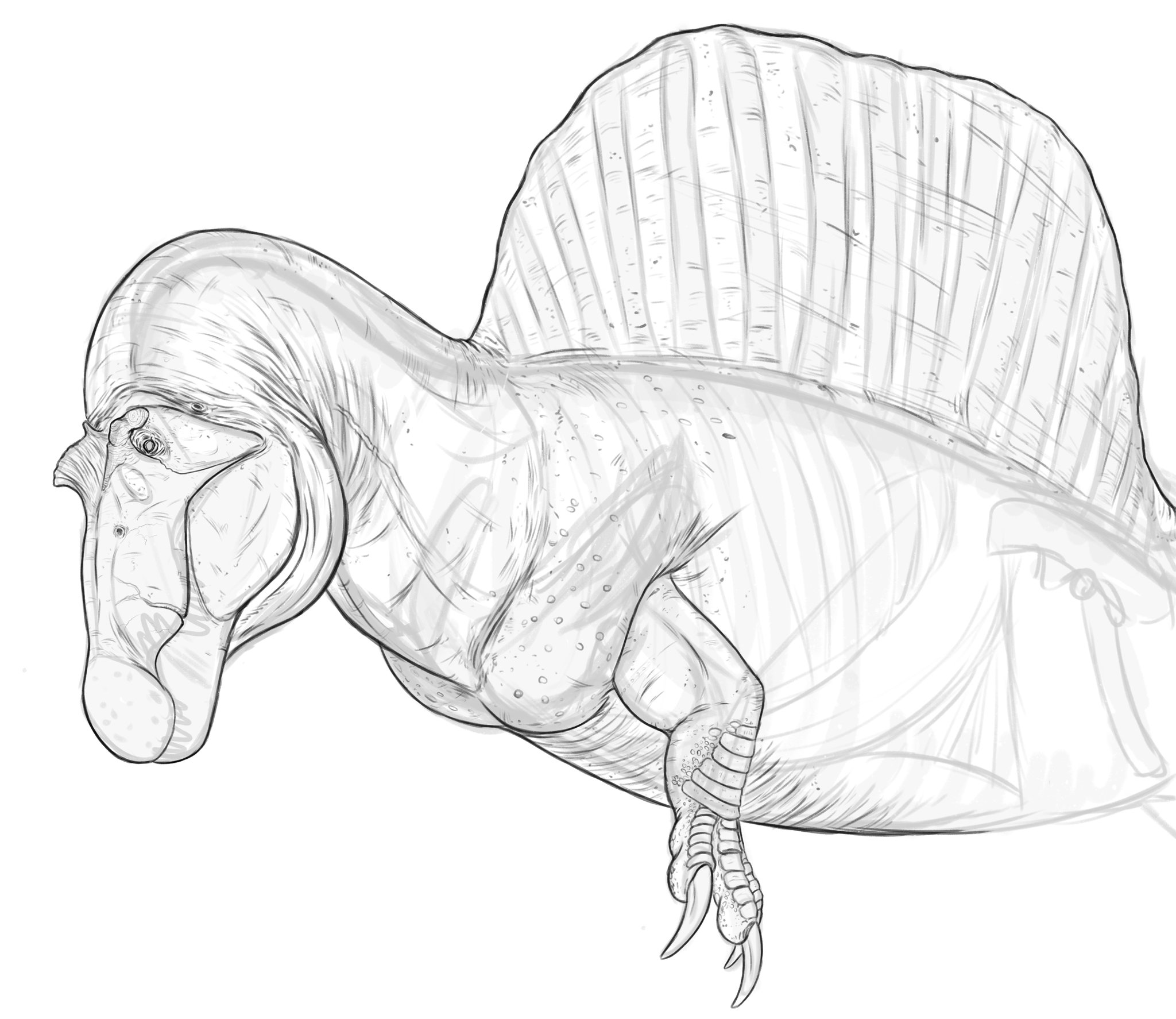 Realistic Spinosaurus Coloring Pages