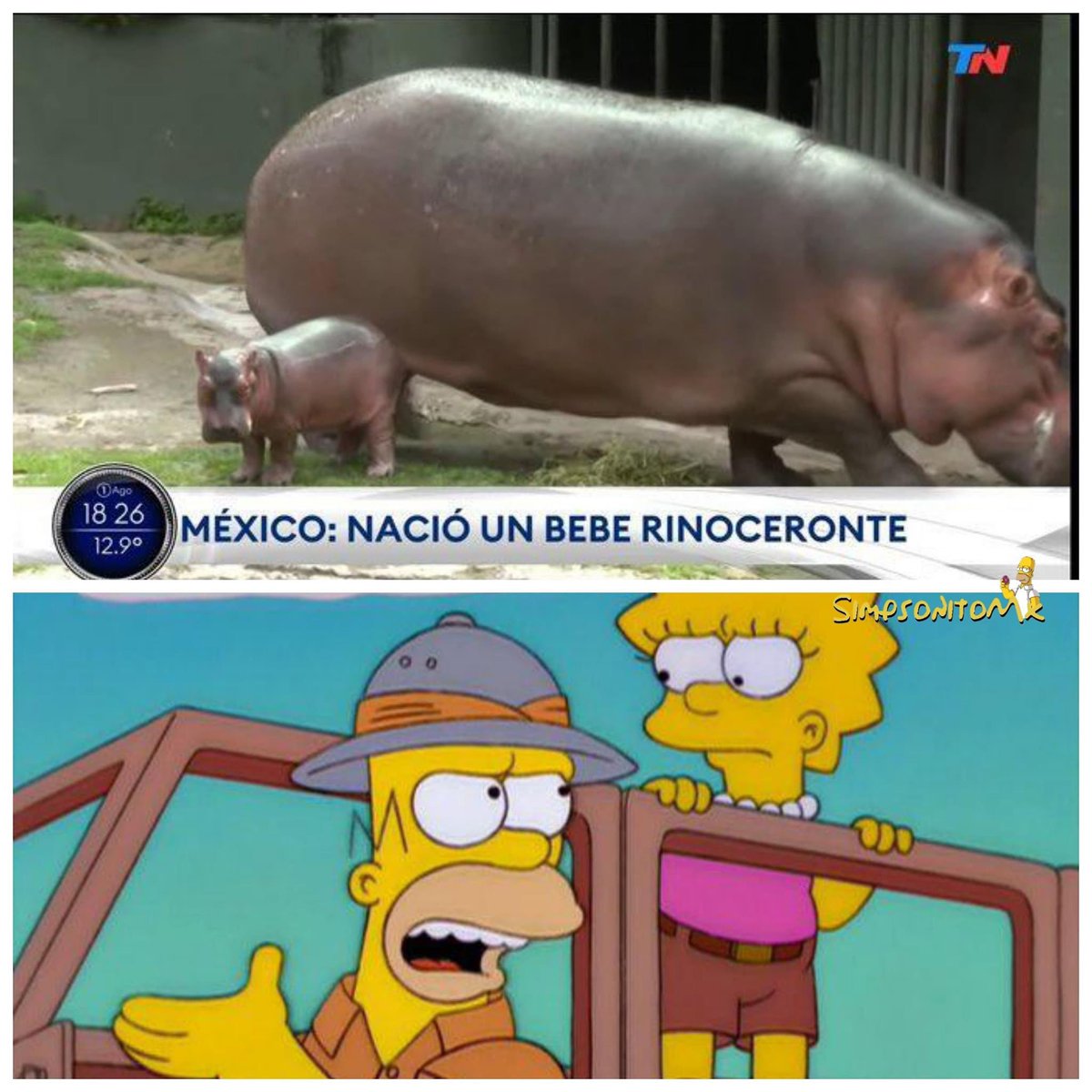 Simpsonito on Twitter: Simpsonito on Twitter: