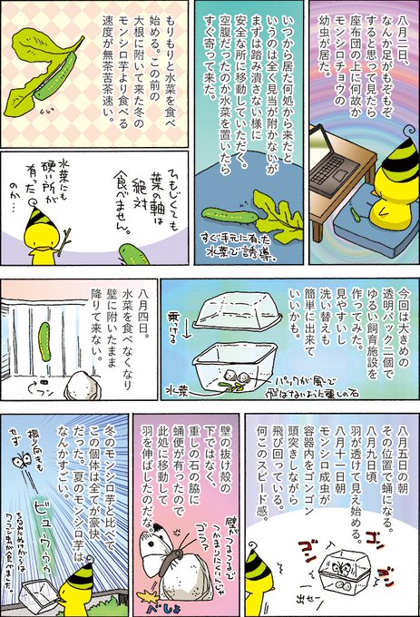 20 もう一匹来た。 | 高川ヨ志ノリ C105 月曜西1み-46b 怪マヨ単行本宜しくね さんのマンガ | ツイコミ(仮)