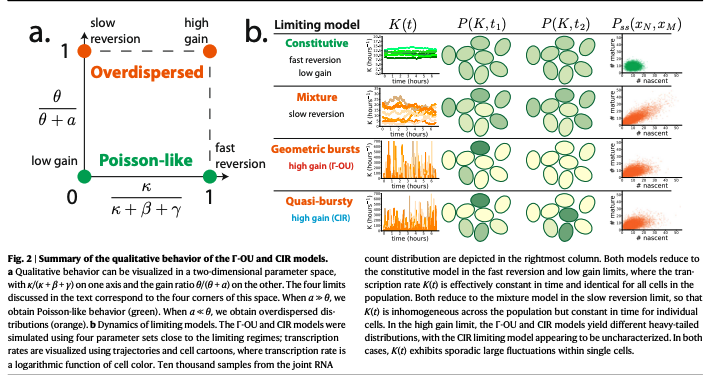 BioDecoded on Twitter: "pGlycoQuant with a deep residual network for quantitative ...