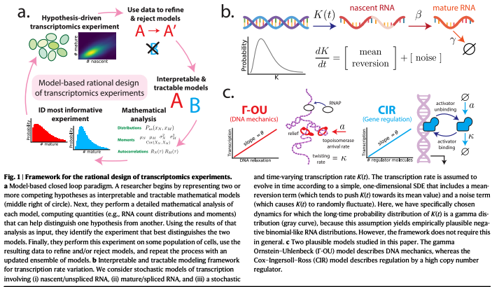 BioDecoded on Twitter: "pGlycoQuant with a deep residual network for quantitative ...