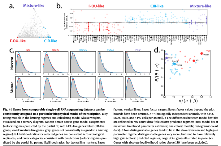 BioDecoded on Twitter: "pGlycoQuant with a deep residual network for quantitative ...