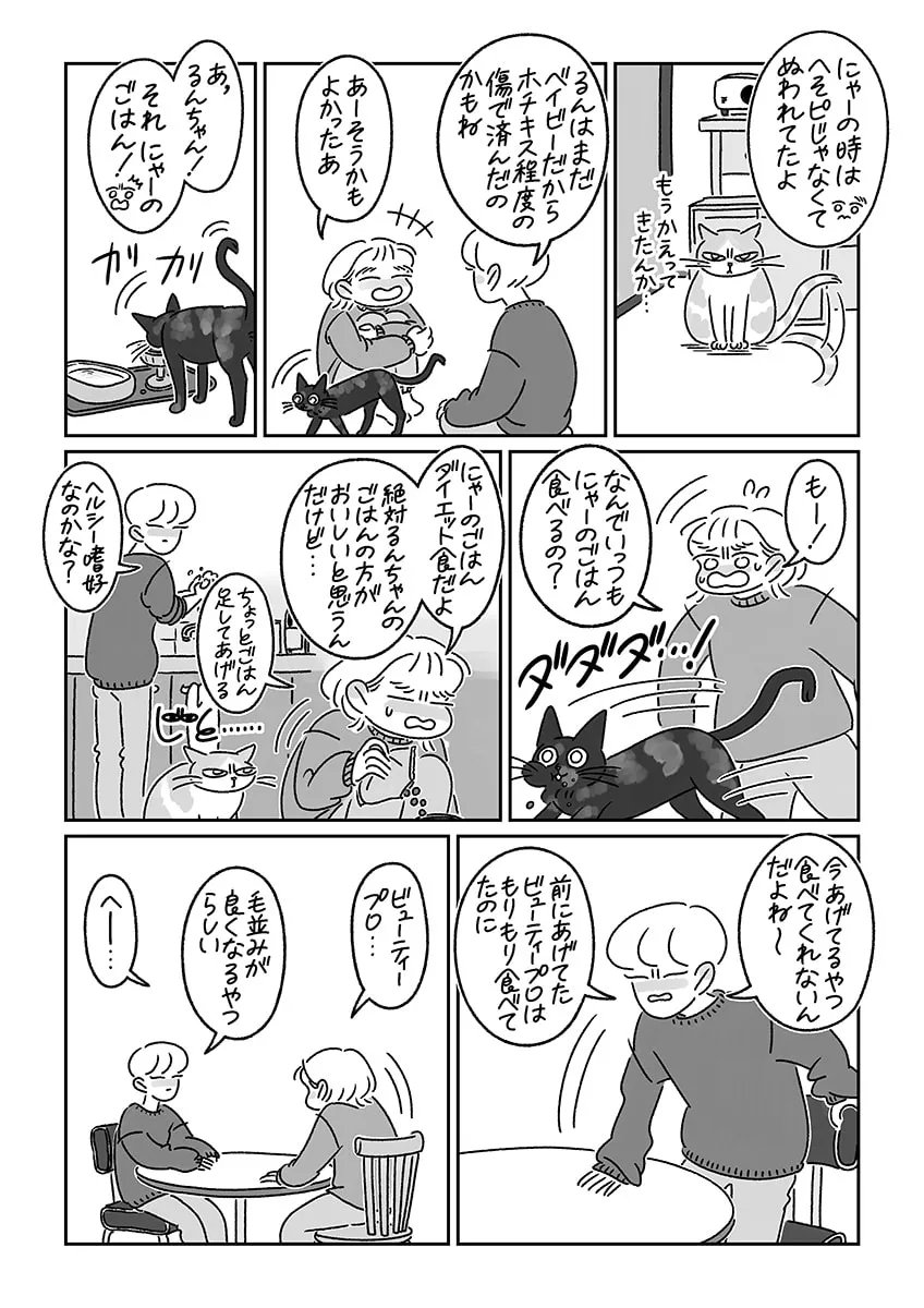 GINZA on Twitter: "連載漫画『ふたりとにひき、はじめました』第3話 横浜生まれの令和ギャル🐈https://buff.ly/3UTOntR"