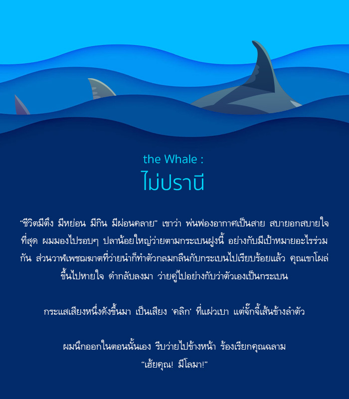 Khaosap 🖊 #เที่ยวกับคุณฉลาม 🦈 on Twitter: "#เที่ยวกับคุณฉลาม ตอนที่ 14 https://readawrite.com/c ...