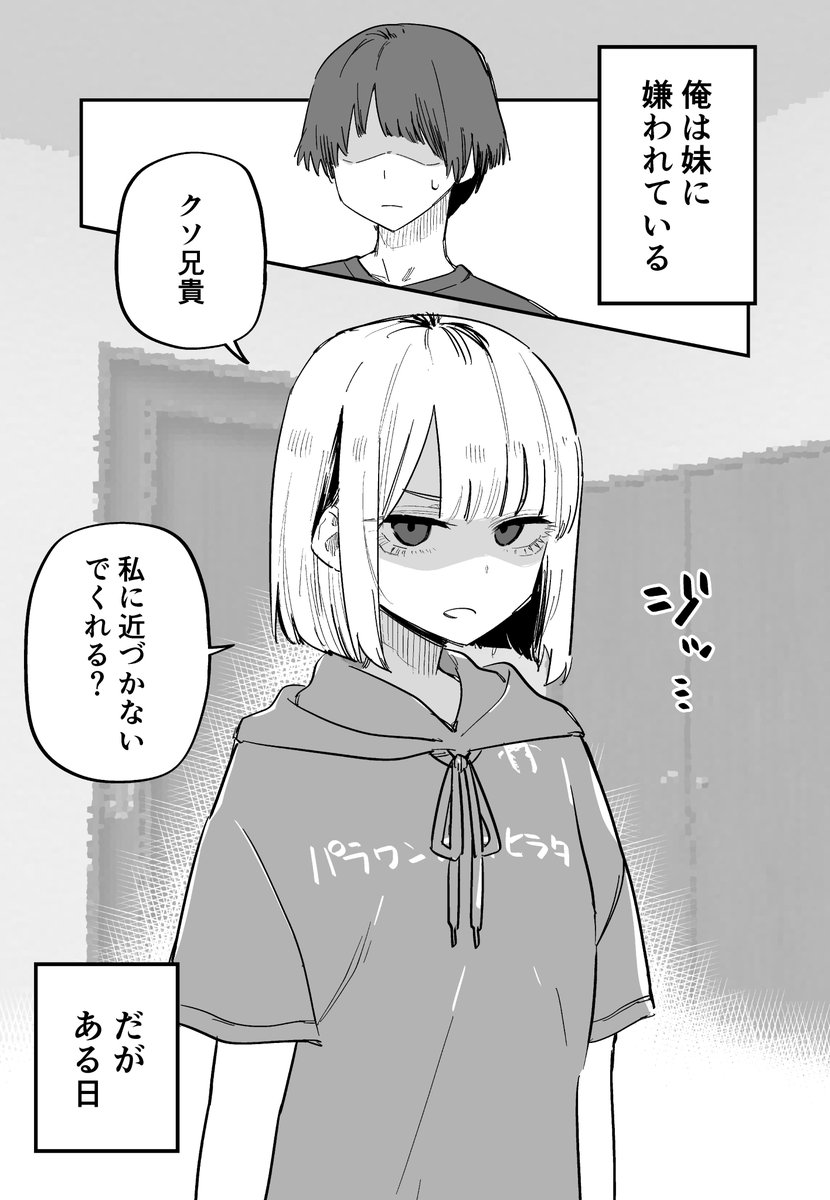 「俺のことが大嫌いな妹が怖い 」玖珂ツニヤの漫画