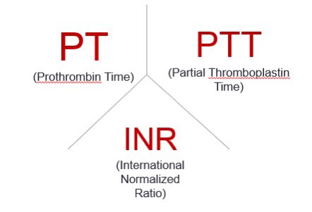 إيش هي Coagulation Panel؟ ومتى يتم طلبها؟ هي مجموعة من التحاليل يتم ...