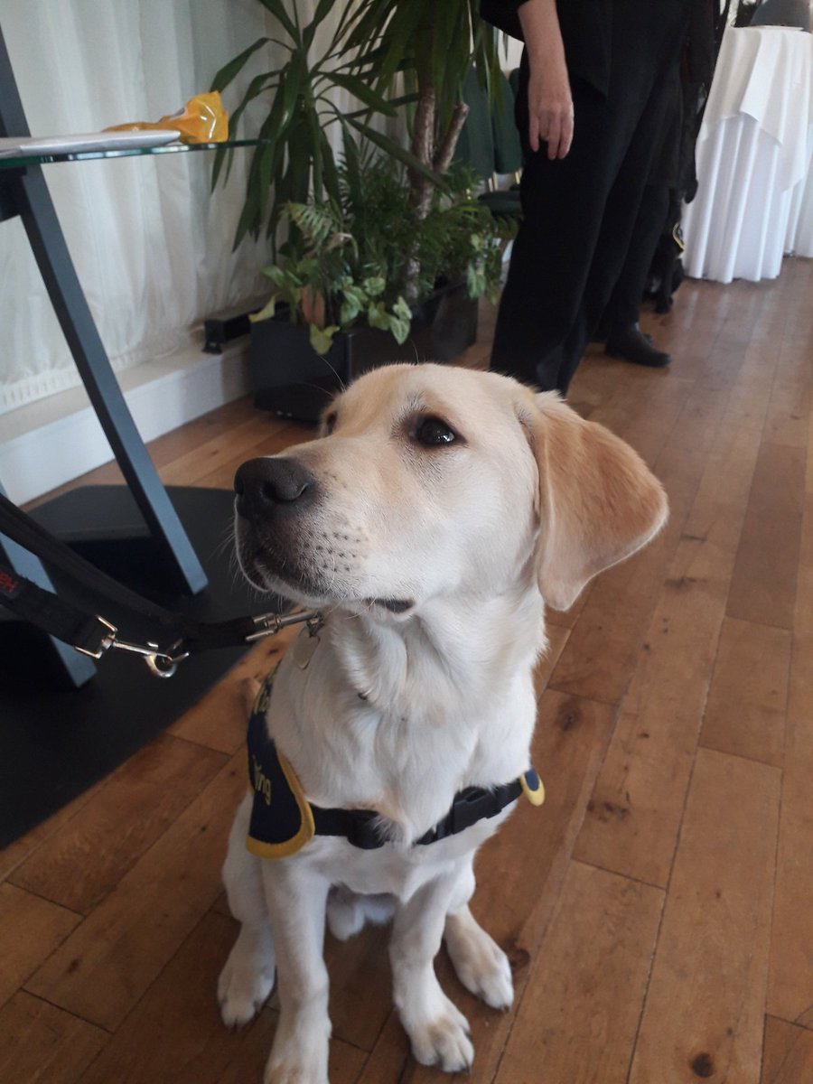 As an MP & vet I am fully behind the guidedogs Open Doors Campaign. So ...