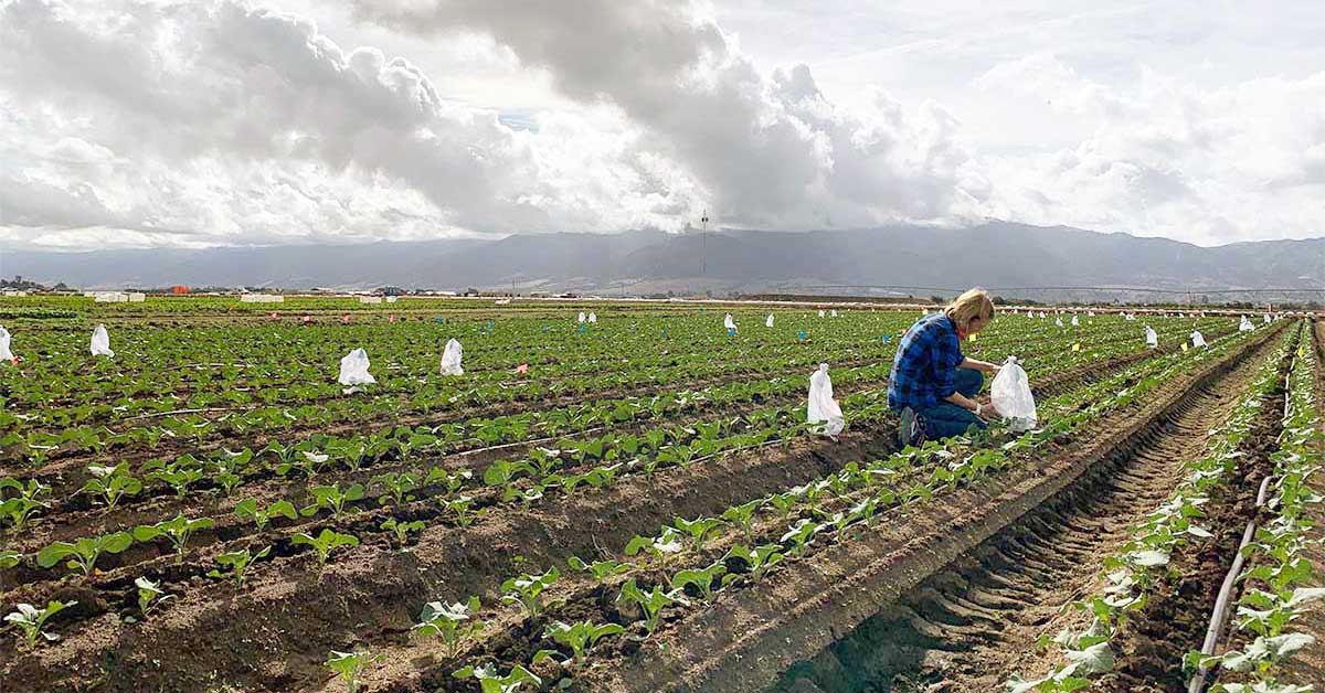 Tech Accel - Tech Accel Website