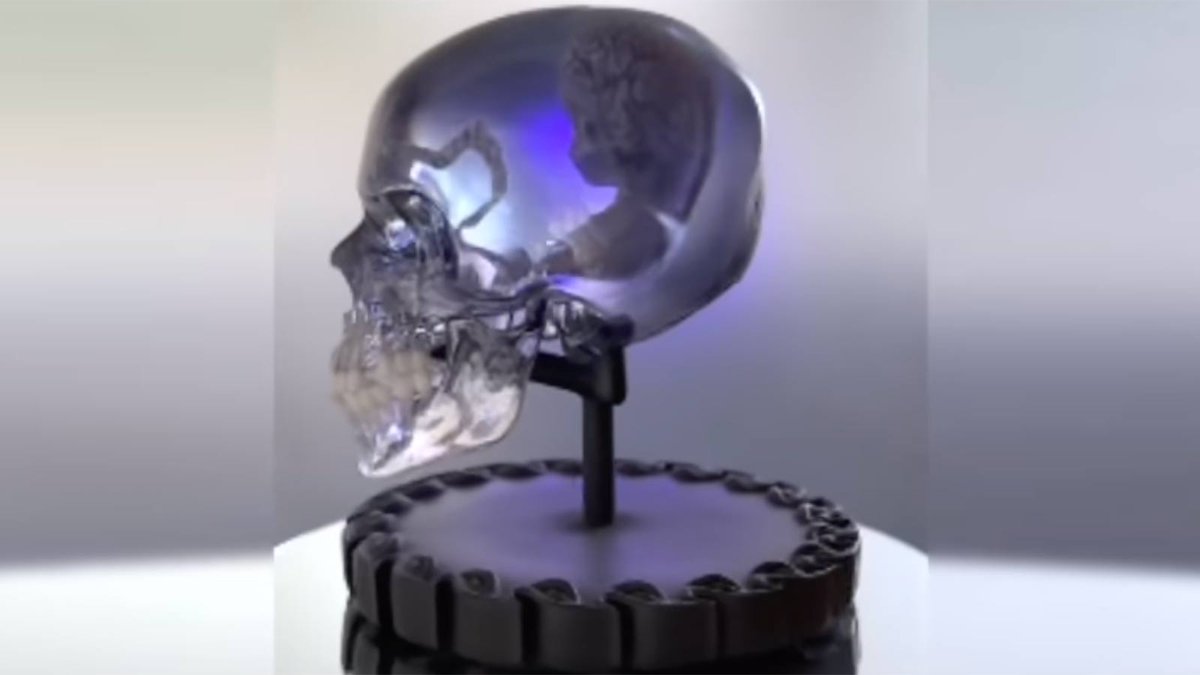 Tool Sculpture Fetus at Dorothy Logan blog