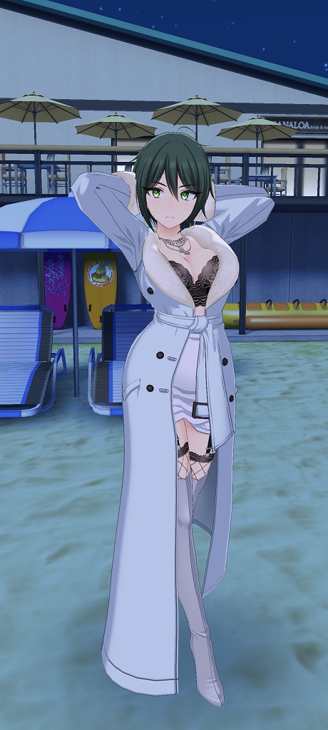 【討論】【投票】誰最適合薇娜(WinterCollection) @洶湧海豚 哈啦板 - 巴哈姆特