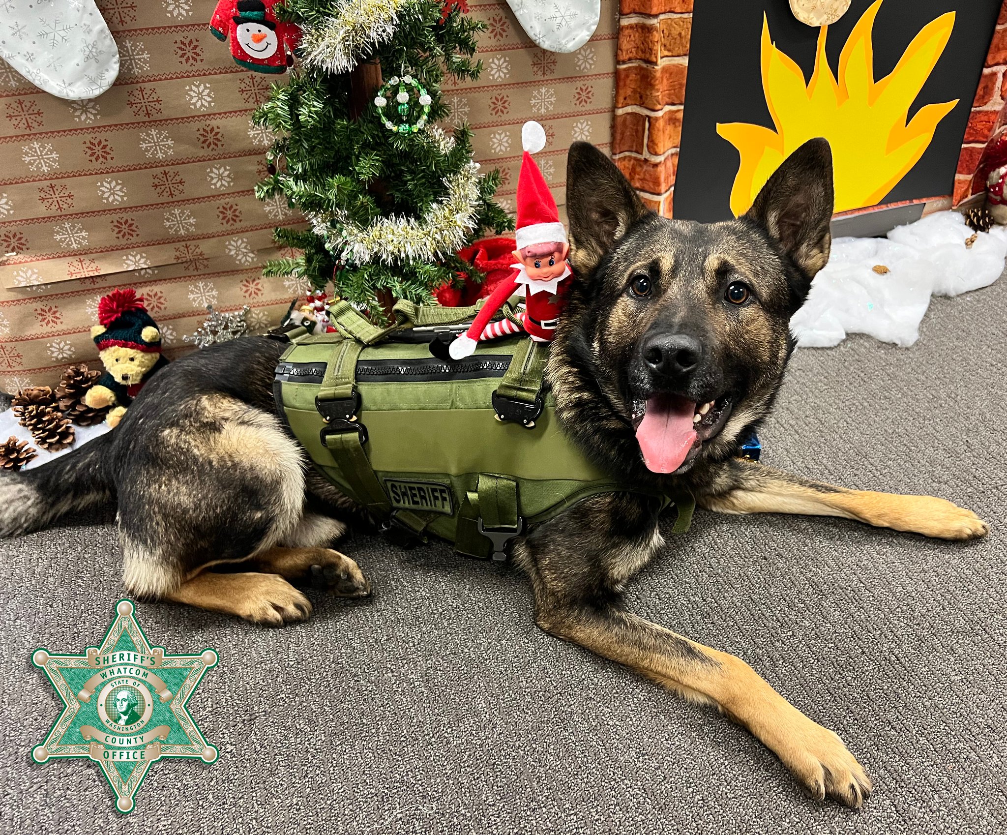 Whatcom County Sheriff's Office on Twitter: Whatcom County Sheriff's Office on Twitter: