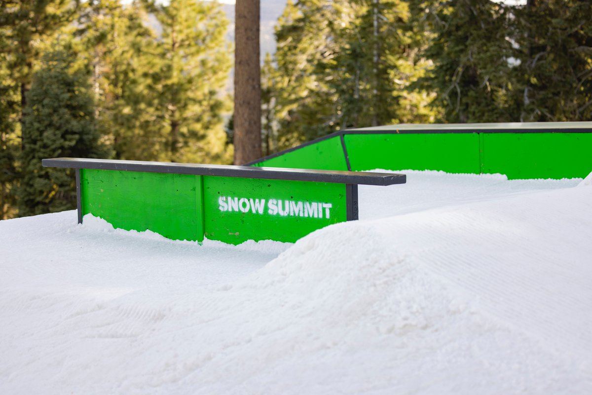 Are Dogs Allowed At Snow Summit