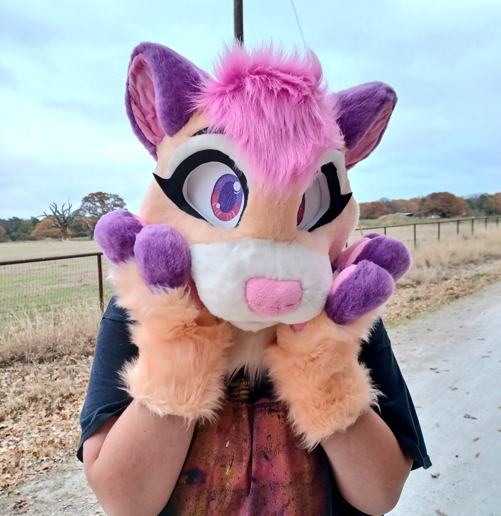 Lioness Lane Fursuits On Twitter Aspen My Main Fursona And Business