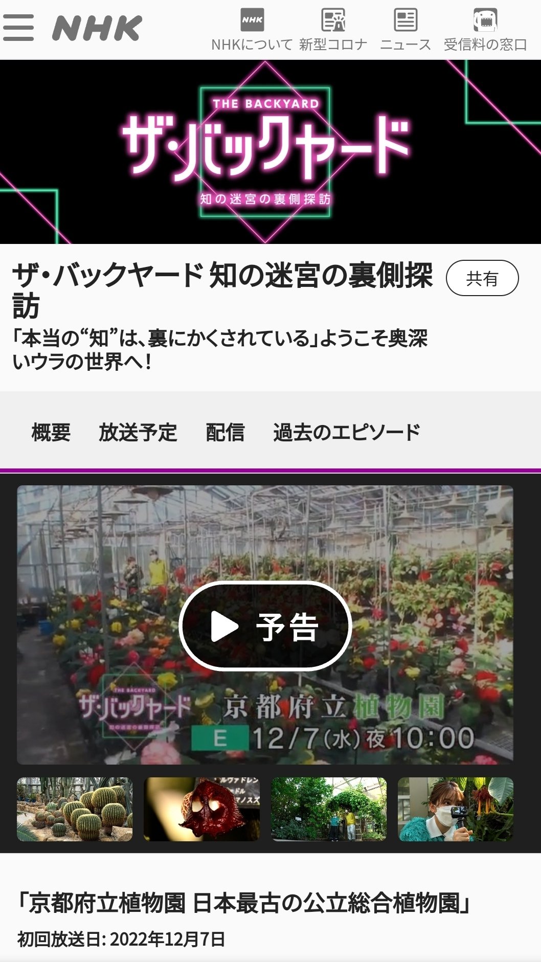 いこじ on Twitter: "#京都府立植物園 といえばこちらも… 中村倫也さんのナレーションが好評のこの番組で、来週取り上げられるそうで👍 #ザ・バックヤード 「京都府立植物園 日本最古 ...