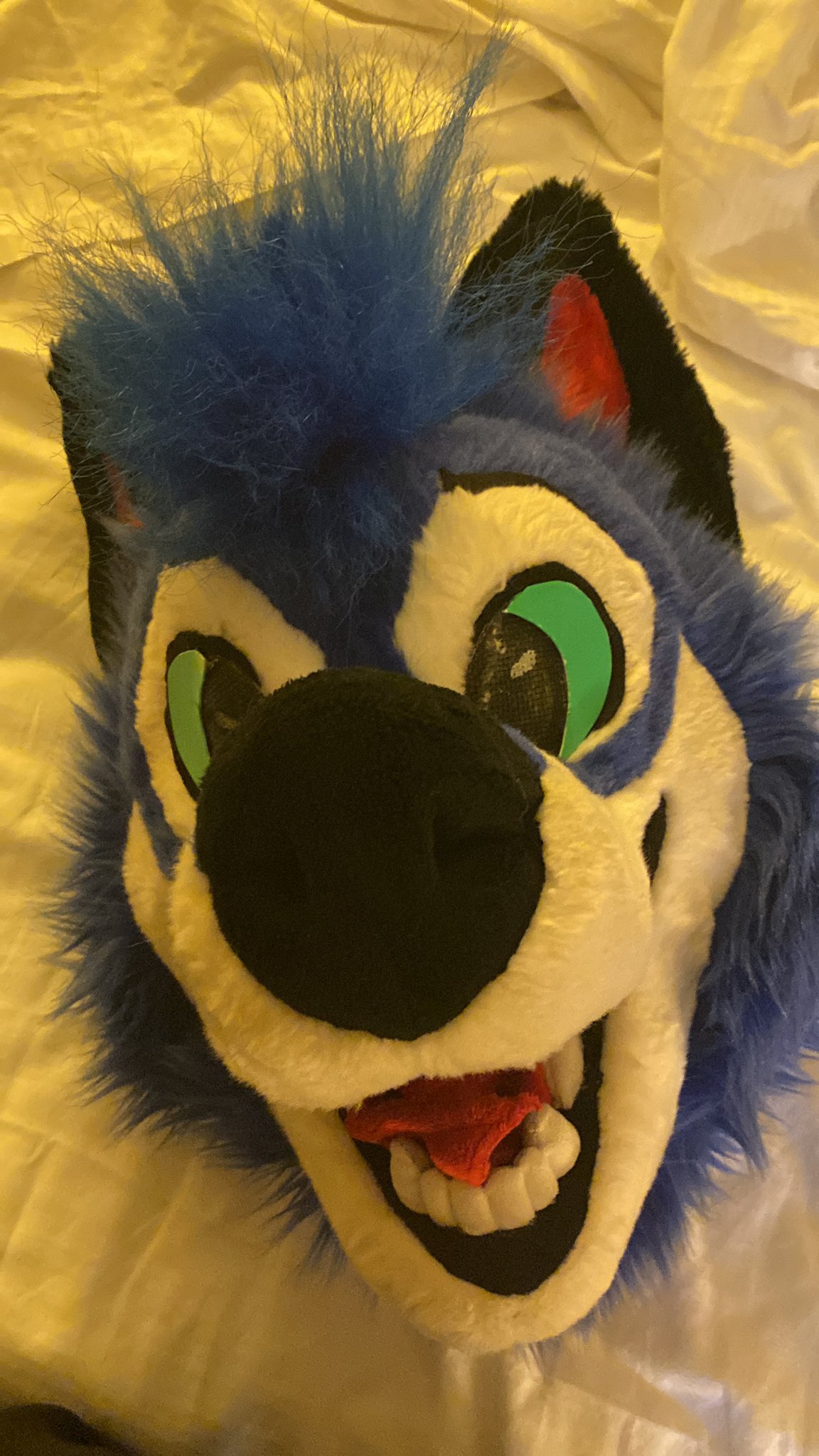 SonicFox @ MFF on Twitter: SonicFox @ MFF on Twitter: