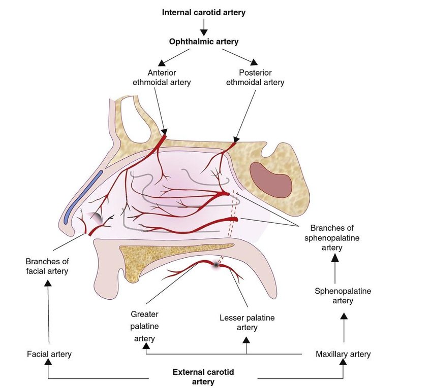 Asking medical students important questions ⁉️ answered 💯. Where is the ...