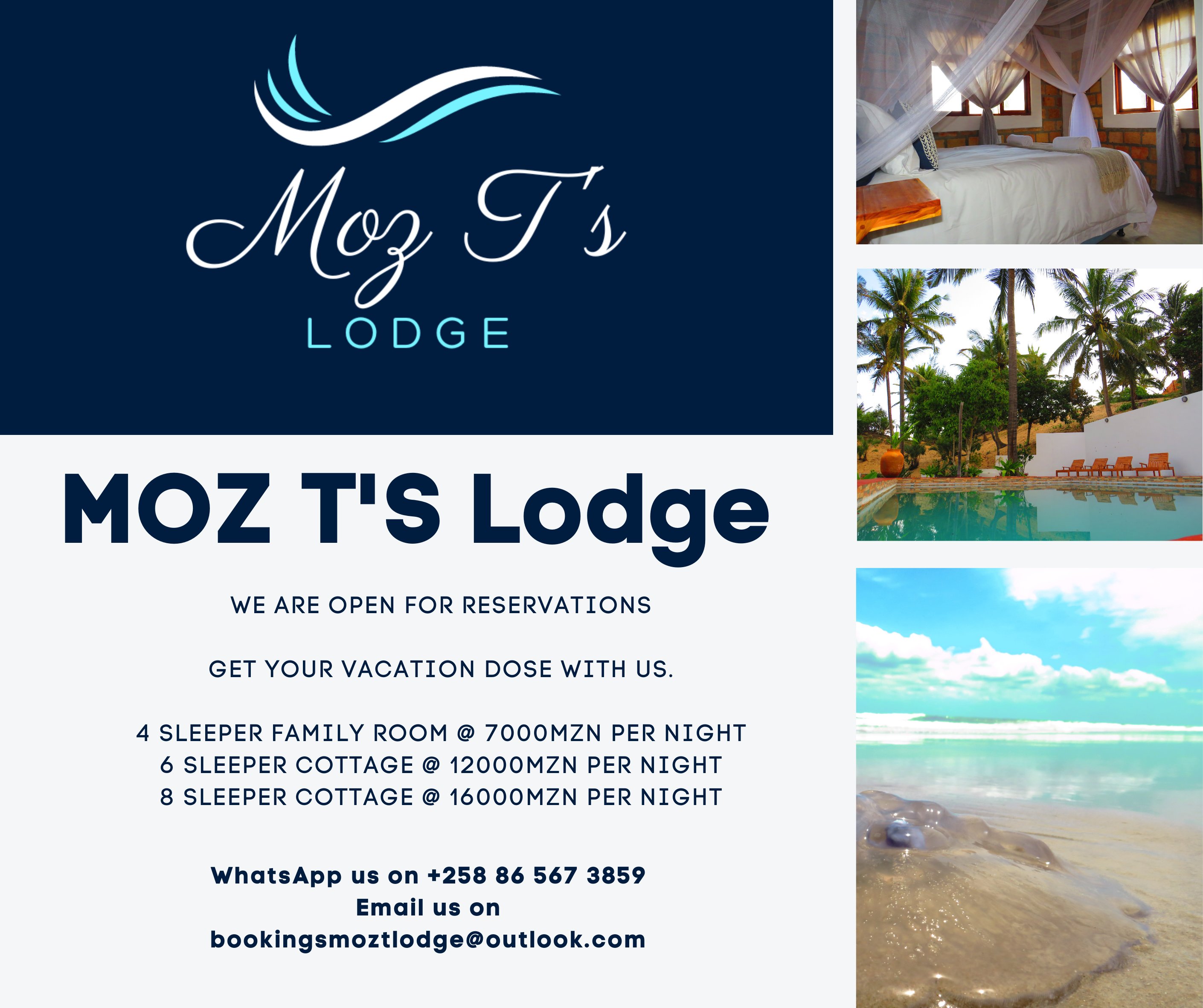 Moz T's Lodge (@MozTLodge) / Twitter